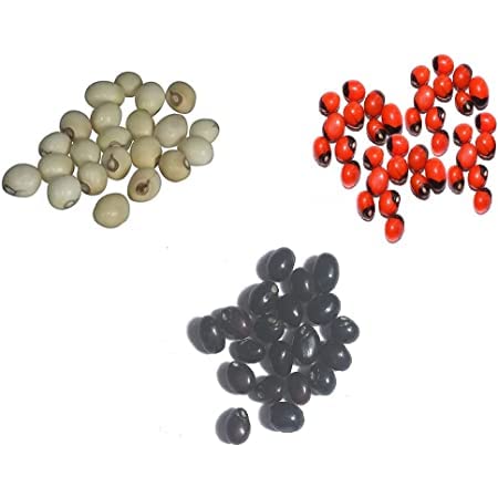 SS520 Rare Chirmi Seeds Combo of 324 Red Gunja Black Chirmi White ...