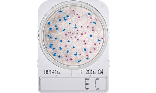 Hardy Diagnostics EC100 Compact Dry EC, Escherichia Coli and Coliforms ...