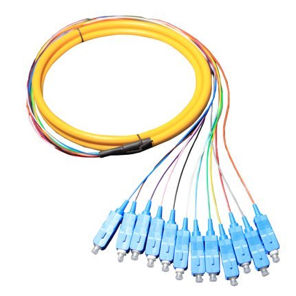 Generic 12 Core Cable with SC/UPC-0.9mm-PVC-SM(9/125)-2m / Optical ...