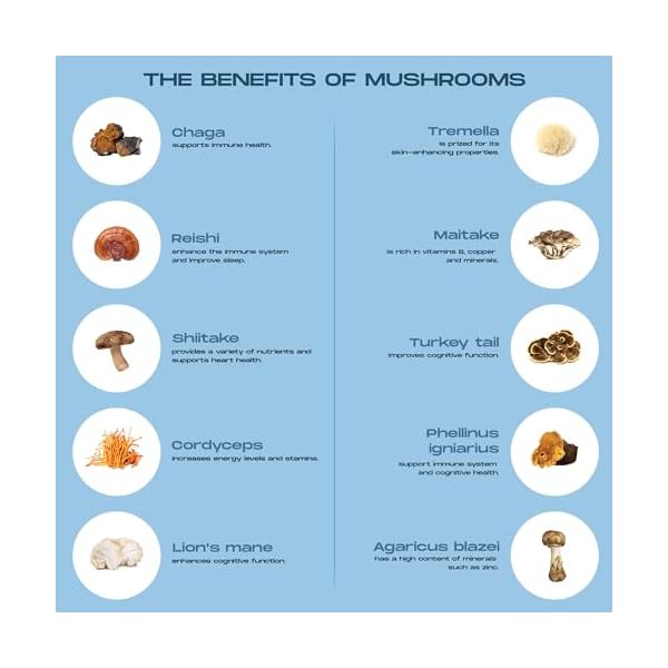 Shroomzup Mushroom Coffee Instant with 10 Mushrooms - 15 Pack with ...