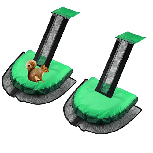 Snapklik.com : 2 Pack Animal Saving Escape Ramp For Pool, Animal Pool ...