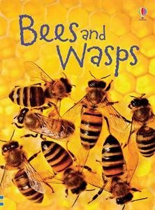 Bees and Wasps (Beginner's Nature): James MacLaine: 9780794533601 ...