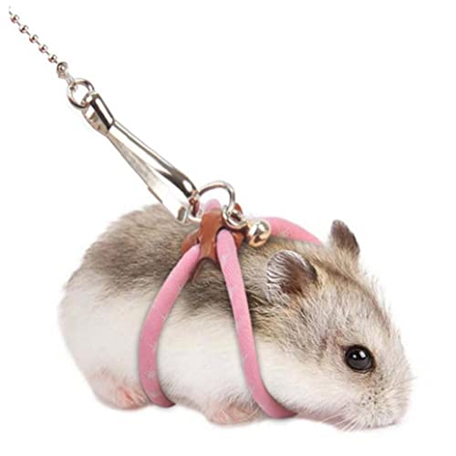 Hamster Leine – Die 15 besten Produkte im Vergleich & Angebote ...
