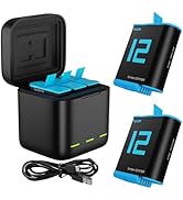 Amazon.com: TELESIN Enduro Battery (2-Pack) for GoPro 12 11 10 9, Long ...