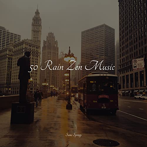 Amazon.com: 50 Rain Zen Music : Rain for Deep Sleep, White Noise Babies ...