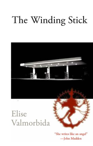 The Winding Stick: Elise Valmorbida: 9781906120351: Amazon.com: Books