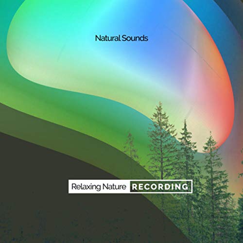 Relaxing Nature Recording by Natural Sounds on Amazon Music - Amazon.co.uk
