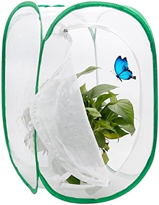 Amazon.com : Folding Insect cage Insect Proof net Monarch Butterfly ...