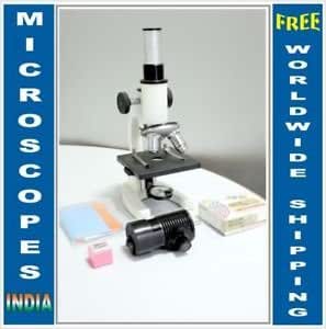 Amazon.com : Radical 2000x Professional Trinocular Medical Microscope w ...