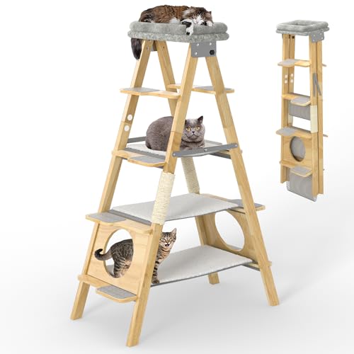 Cat Ladder – The 15 best products compared - Wild Explained