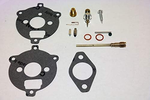 Amazon.com : Carburetor Rebuild Kit for Briggs & Stratton Medium Flo ...