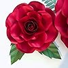 Amazon.com : Medium Rose Template (15-16" Flower) : Arts, Crafts & Sewing