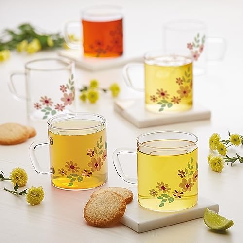 Borosil Vision 6 Pcs Tea n Coffee Borosillicate Glass 190 ml Classic ...