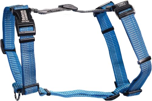 Balance Harness – The 15 best products compared - Wild Explained