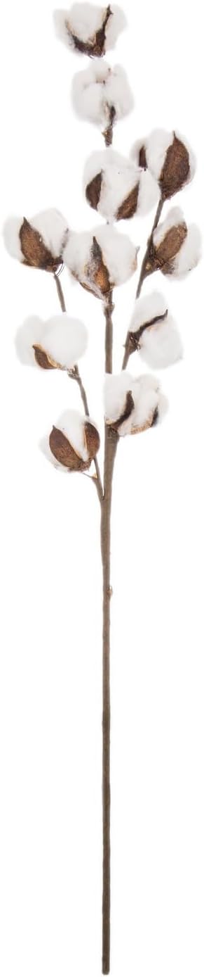 Amazon.com: Hobby Lobby Cotton Stem : Home & Kitchen