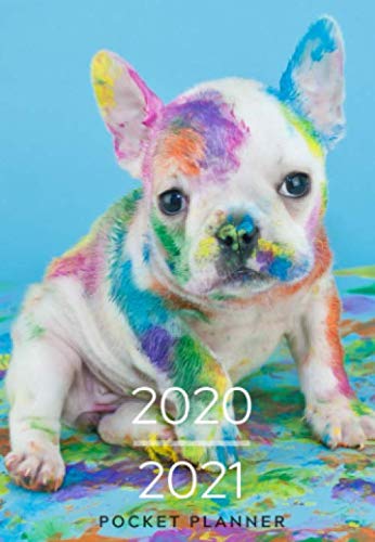 Pocket Planner 2020-2021: COLORFUL DOG! 2 Year 24 Month Pocket Planner ...