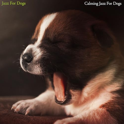 Jazz For Dogs by Calming Jazz For Dogs on Amazon Music Unlimited