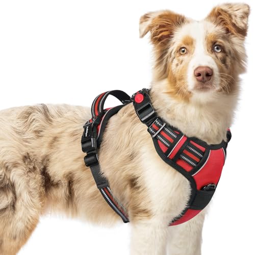 Rei Dog Harness – The 15 best products compared - Wild Explained