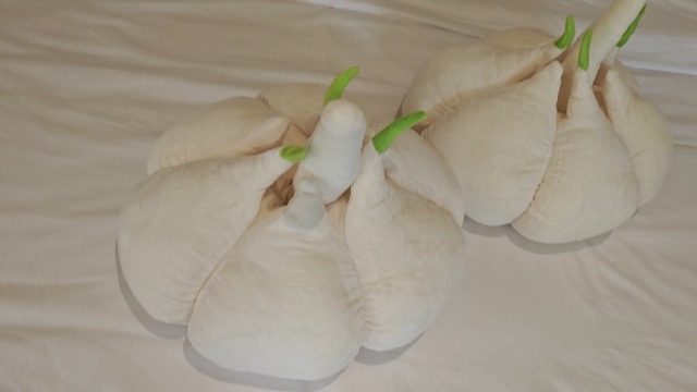 Watch Garlic plush pillow on Amazon Live