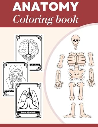 Human Anatomy Coloring Book For Kids: 21 Pages to Explore the Wonders ...