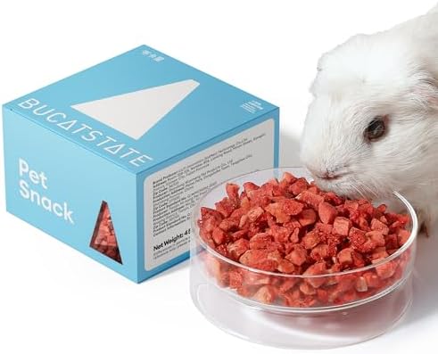 Amazon.com : Niteangel Hamster Snack & Treats Toy - Small Animal ...