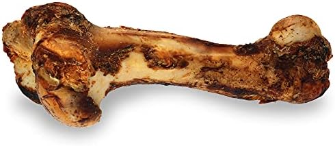 Are Big Bones Good For Dogs
