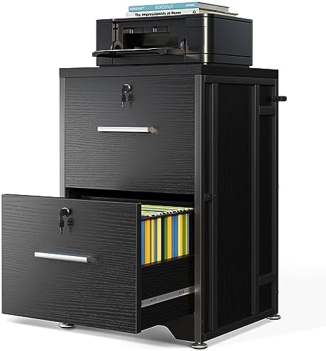 Amazon.com: AODK File Cabinet Fully Assembled Filing Cabinet for Home ...
