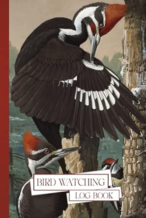 Bird Watching Log Book: My Birding Notebook to Track and Record Bird ...