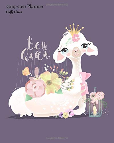 Amazon.com: 2019-2021 Planner Fluffy Llama: 3 Year Monthly Calendar ...