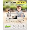 Amazon.com : Motel Mouse Humane Mouse Traps No Kill Live Catch and ...