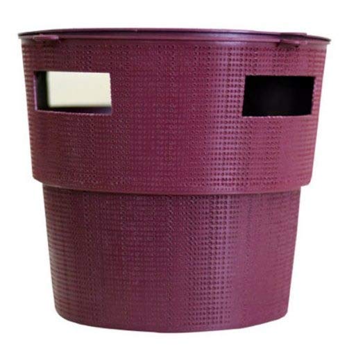 Insect Bucket Trap Traps For Rhinoceros Beetle And Red Palm ...