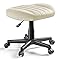 Amazon.com: EUREKA ERGONOMIC Height Adjustable Foot Stool,19x18'' Large ...