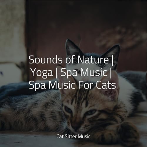 Spiele Sounds of Nature | Yoga | Spa Music | Spa Music For Cats von ...