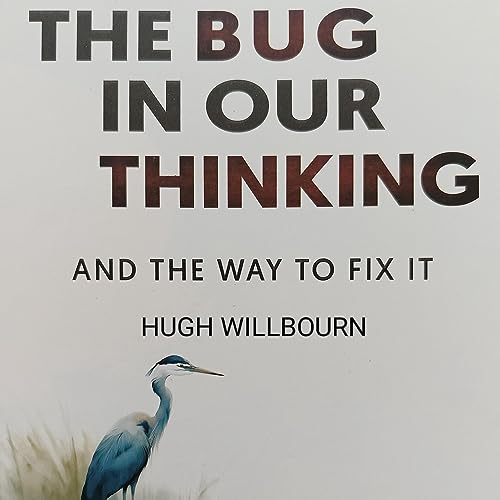 The Bug in Our Thinking and the Way to Fix It (Audio Download): Hugh ...