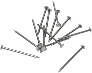 Prime Source 6BX1 6D, 2'' Bright Box Nail : Amazon.ca: Tools & Home ...