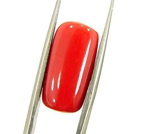 Red Coral Moonga Authentic Natural Certified Red Coral Stone for ...