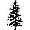 Tree Evergreen - Plant Decal Vinyl Removable Decorative Sticker for ...