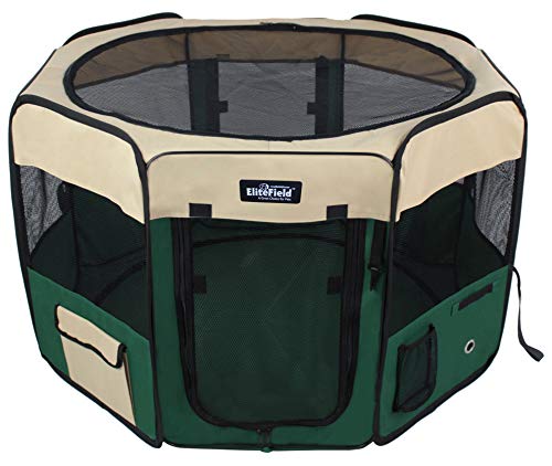 7 Best Portable Outdoor Cat Enclosures and Catios (2023 Reviews)