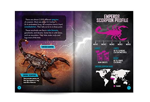 Snapklik.com : Animal Battles By - 8 Book Bundle For Young Readers ...