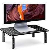 Amazon.com: La Jaco Dual Monitor Stand Riser for 2 Monitors, Monitor ...