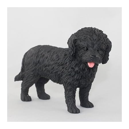 Amazon.com: Conversation Concepts Miniature Cockapoo Black Tiny One ...