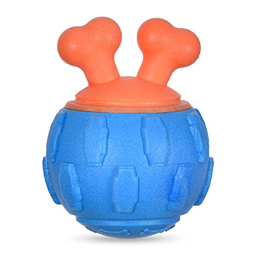 Make a Splash with These Top 10 Dog Bone Pools: A Complete Buying Guide ...