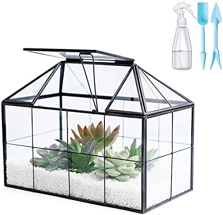 Sheffield Made Plants's Amazon Page