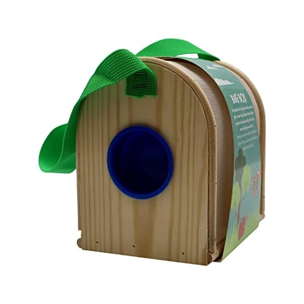 Backyard Essentials Wooden Bug Box for Kids, Dual Chamber Insect ...