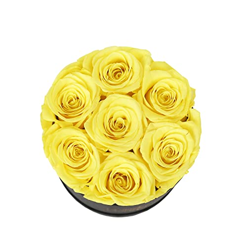 NATROSES 7 Piece Preserved Roses in a Box, Preserved Flowers for ...