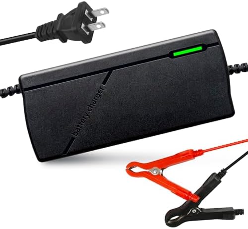 Amazon.com: 14.6V 10A LiFePO4 Battery Charger for 12V Lithium Iron ...