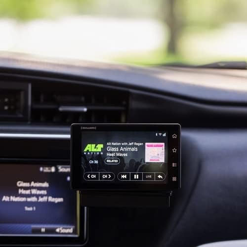 Amazon.com: SiriusXM - SXVTBB1 Tour Radio with SXSD2 Boom Box Bundle ...
