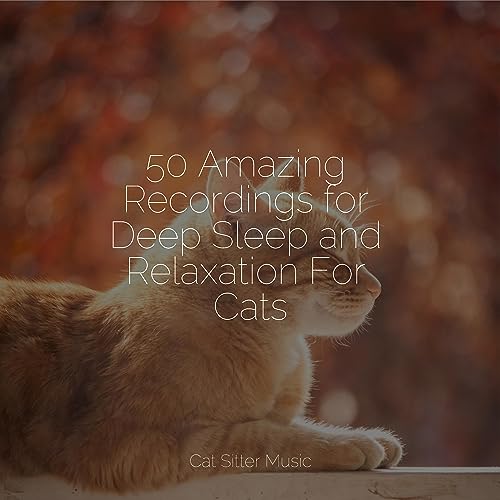 Play 50 Amazing Recordings for Deep Sleep and Relaxation For Cats by ...