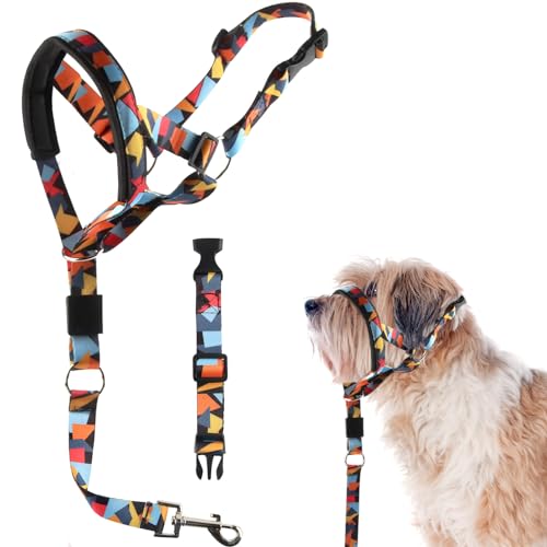 Licol Chien – Les 15 meilleurs produits dans la comparaison - Guide ...