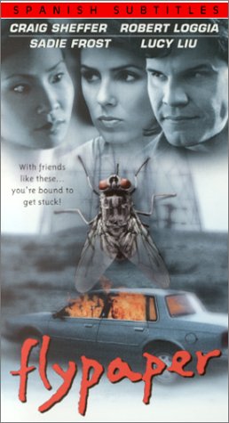 Flypaper: Amazon.it: Film e TV